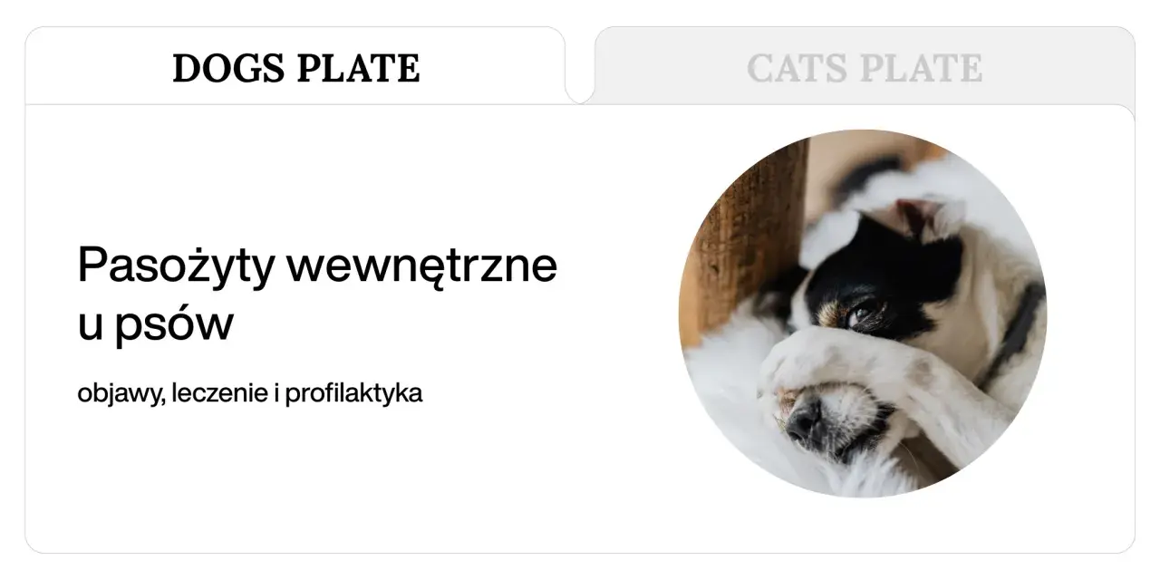 Toksokaroza u psa - Objawy, leczenie i profilaktyka glist