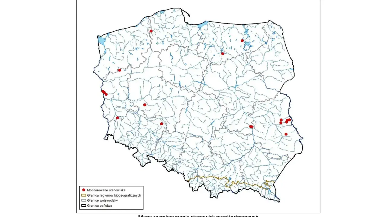 Żółw błotny: Gdzie żyje jedyny żółw w Polsce? Mapa siedlisk
