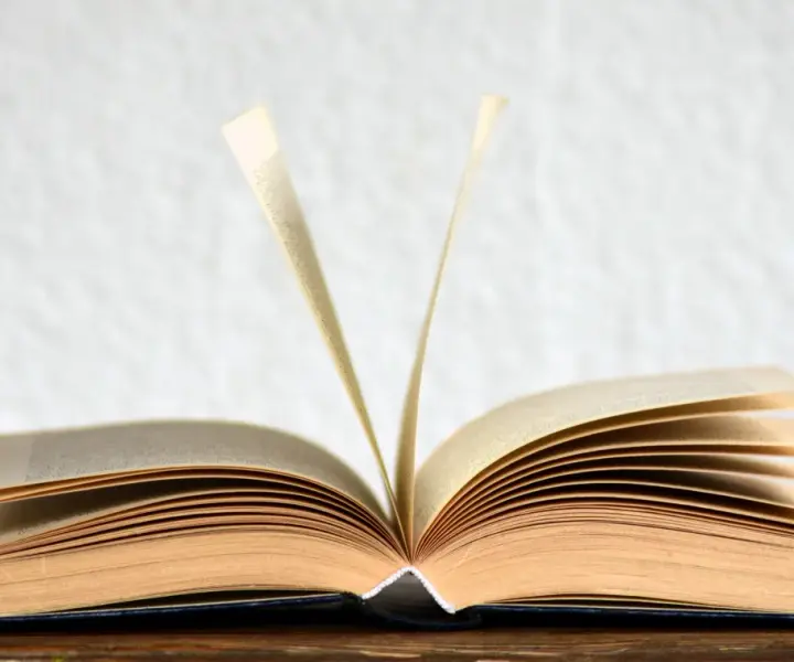Jak wstawić i formatować obraz w Wordzie? Prosty poradnik