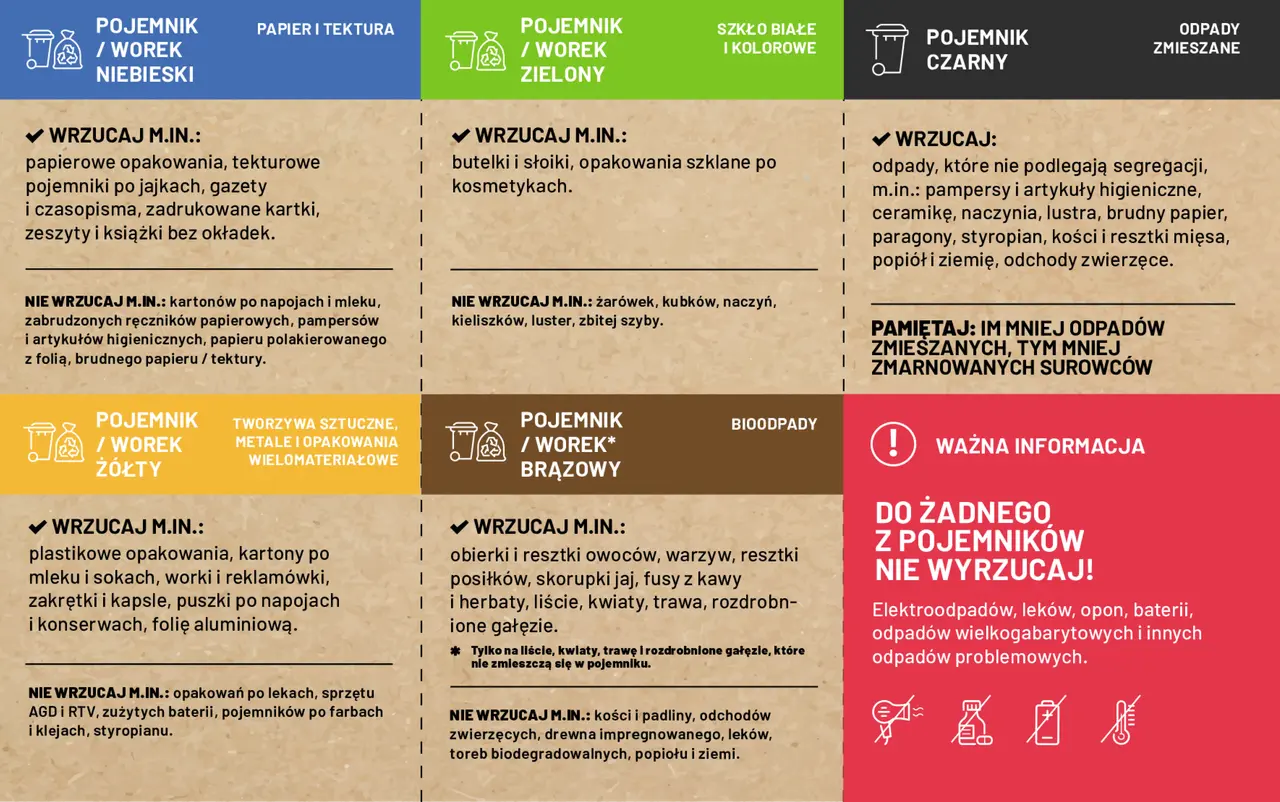 Plastikowe doniczki: gdzie wyrzucić? Proste zasady segregacji